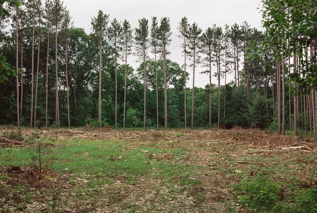 Unlocking The Market Value Of Land: A Comprehensive Guide